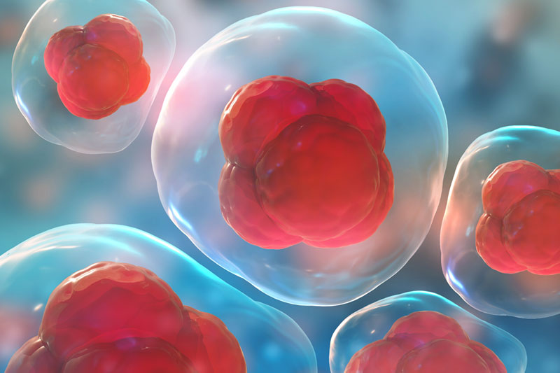 CellStor® Cryopreservation Bags for Stem Cell Therapy