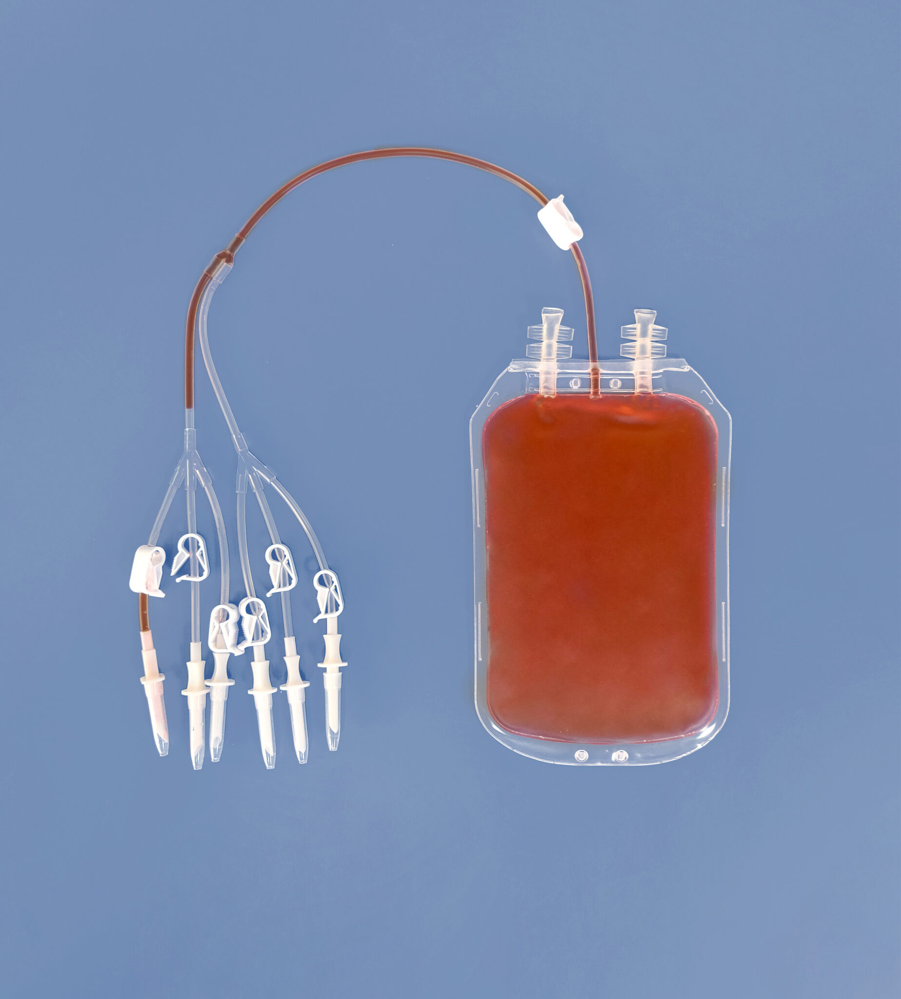 Pooling Transfer Bag - CellBios